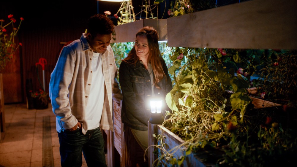 HOMESTEAD REVIEW - by Edward Douglas