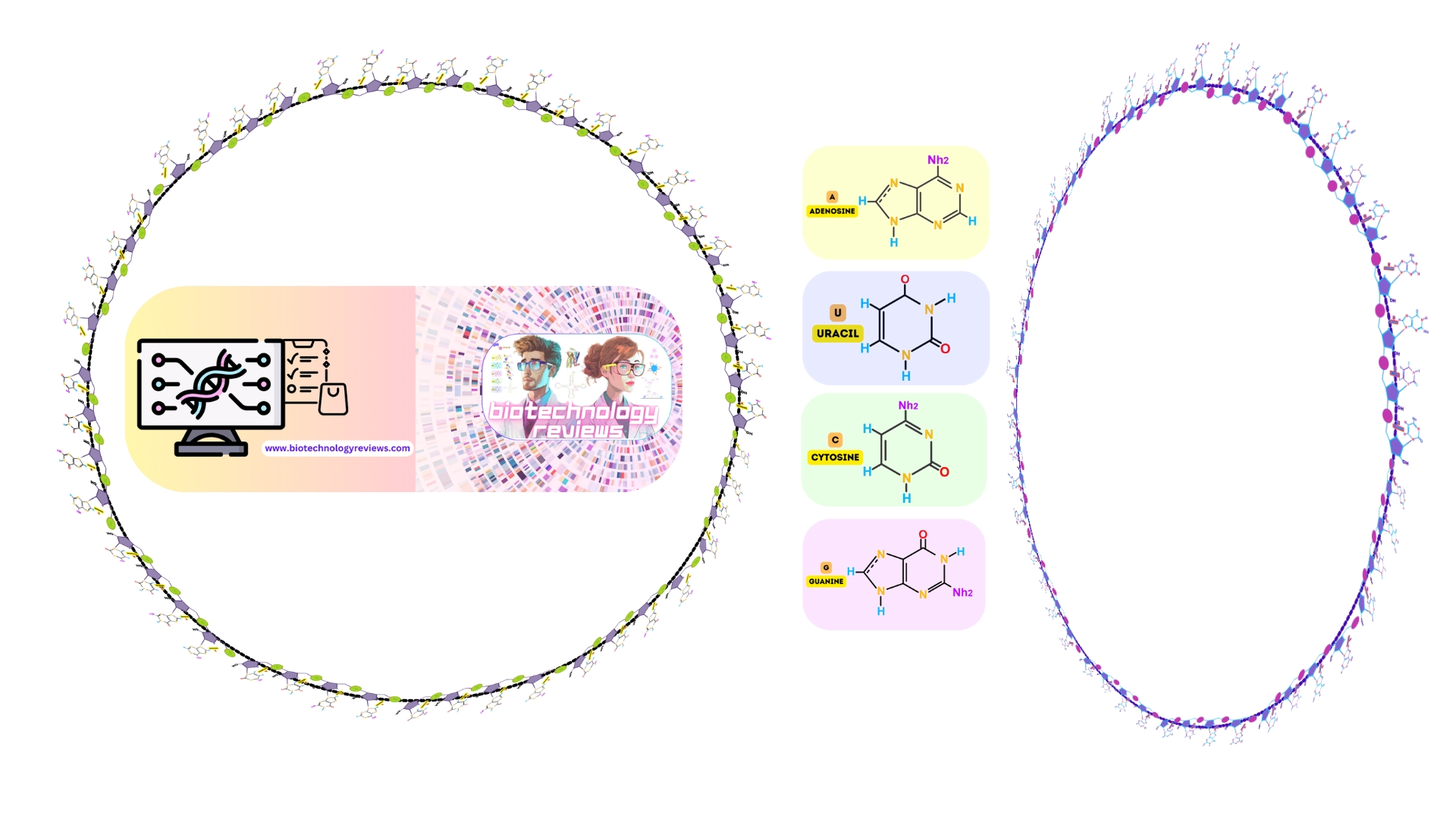 Circular RNA as a Drug Platform: Advantages Over Linear mRNA