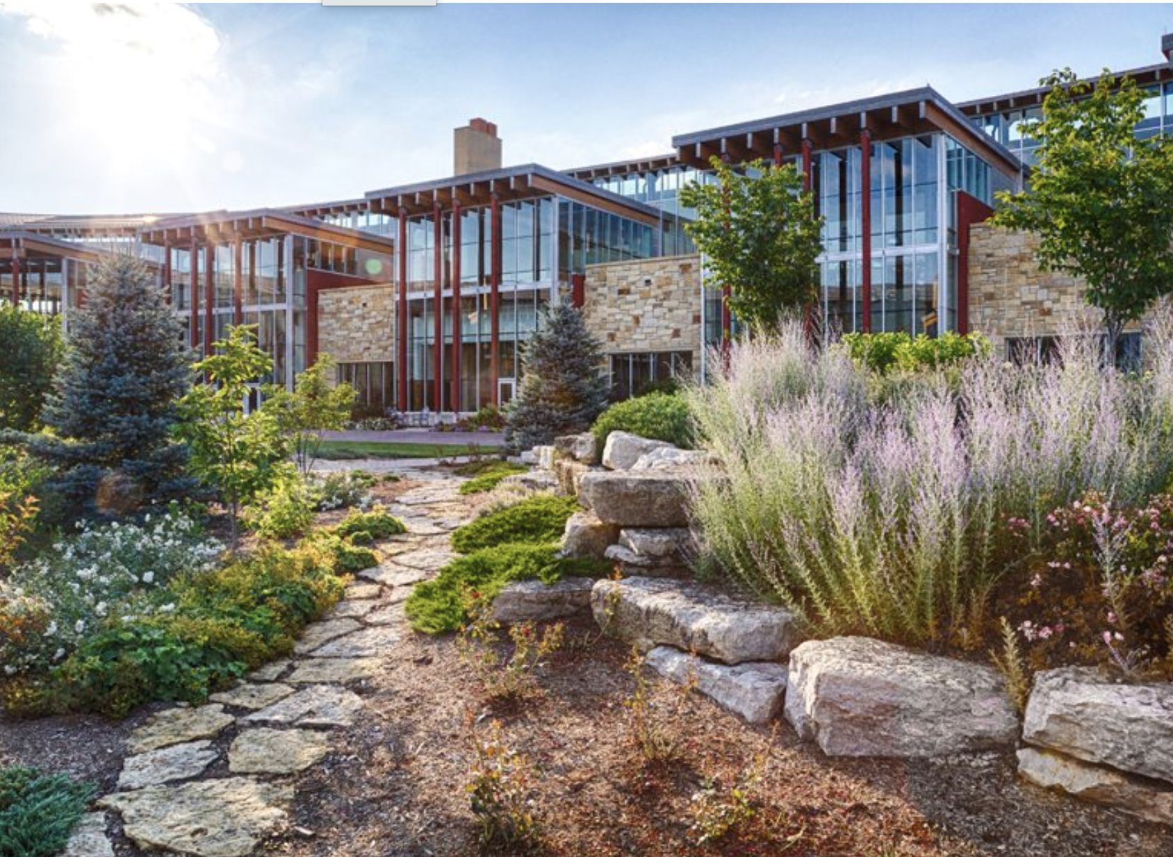 Judy Faulkner: The Quiet Architect of American Healthcare