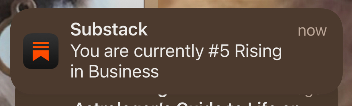 From 0 to Top 5 Rising in Business in 5 Weeks! Here's What Substack Newbies Selling Paid ...