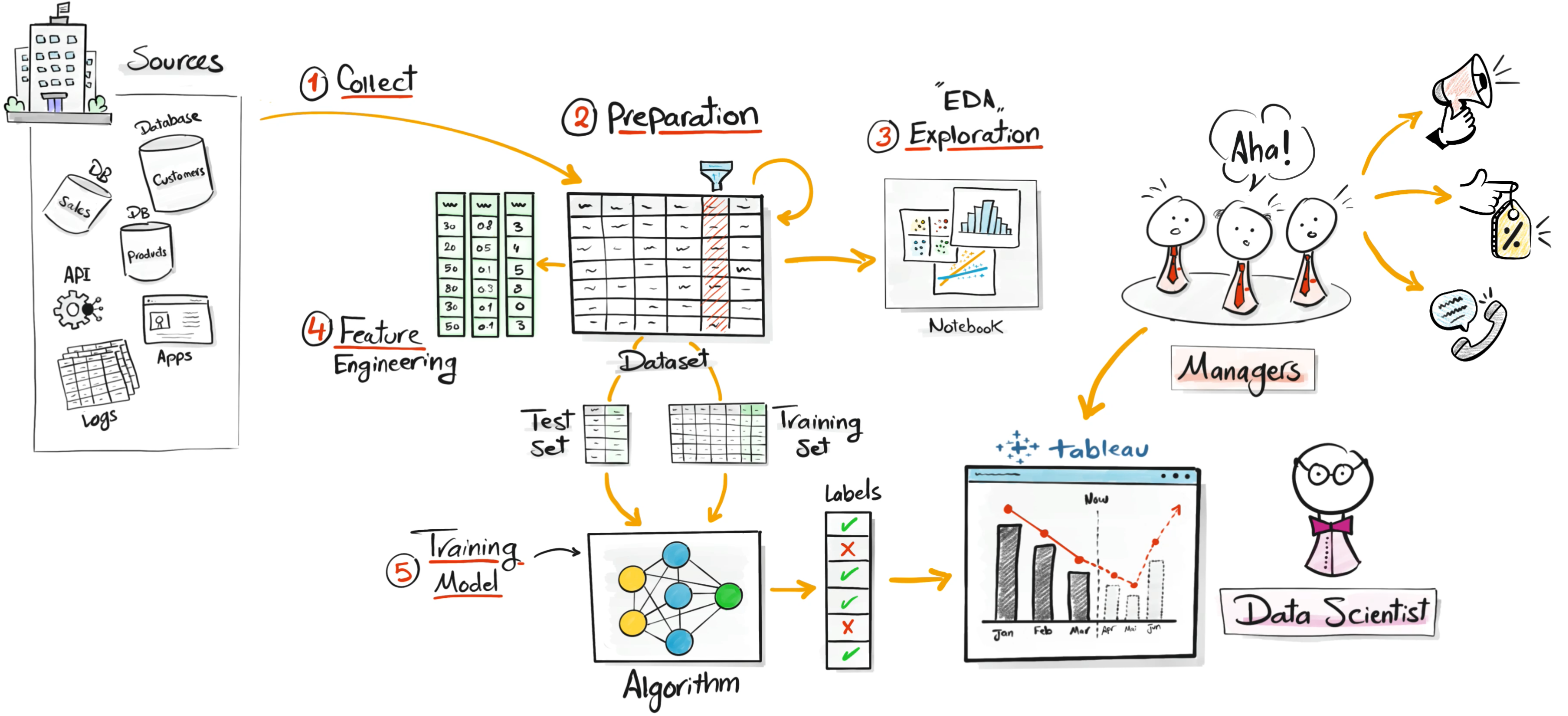 The Ultimate Data Science Roadmap (2025) – Built by a Data Expert