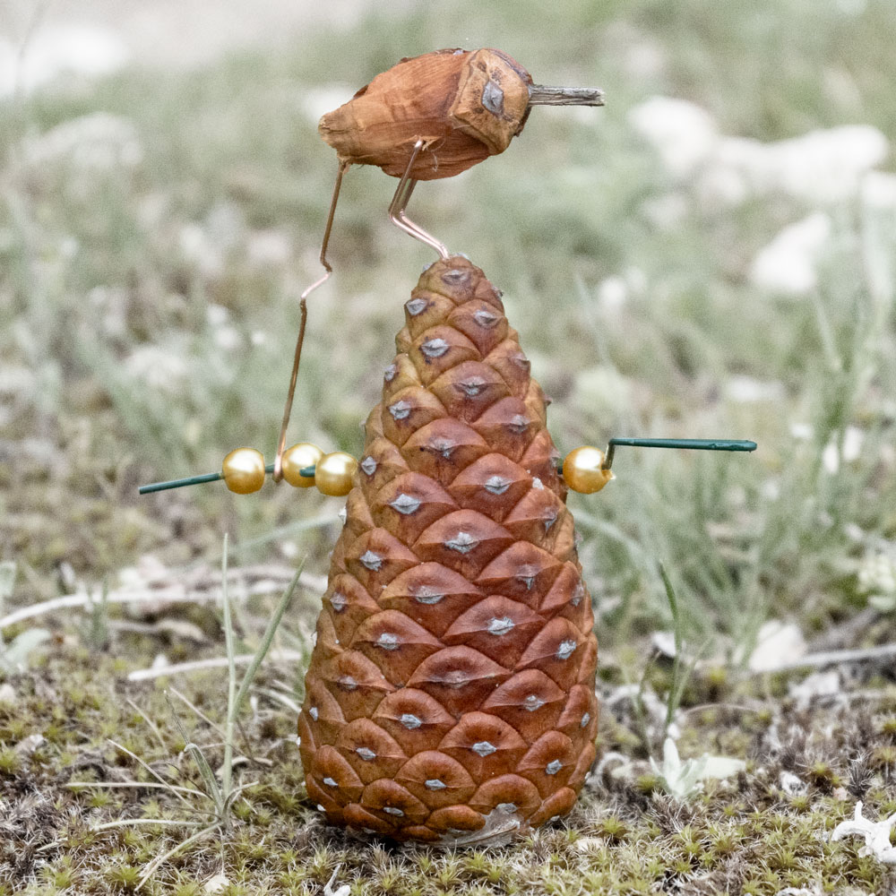 Pine Cone Bird - Rob Ives Workshop Notes
