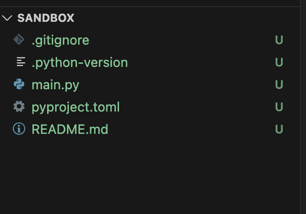 Getting Started with UV: The Modern Python Project Setup Guide