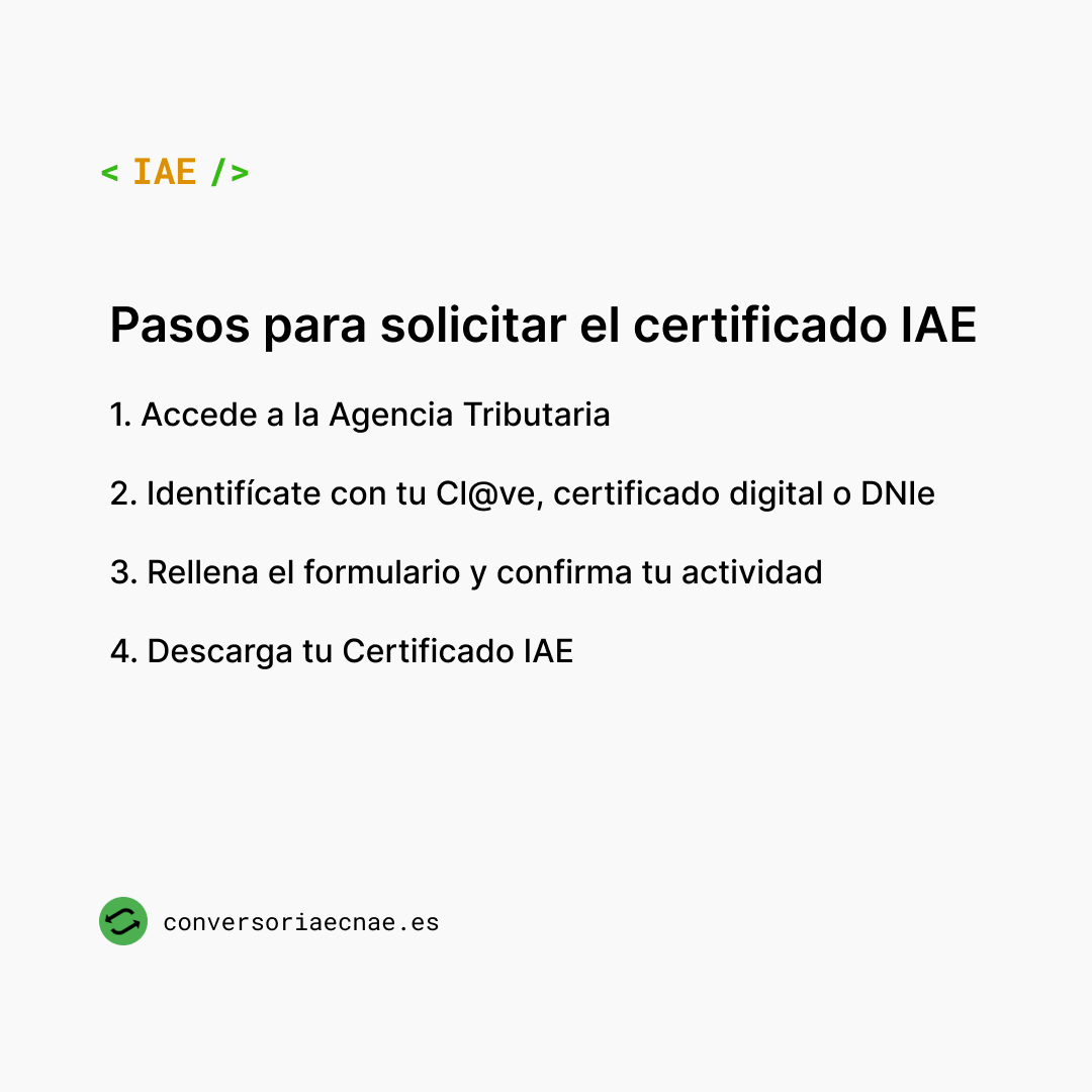 ¿Cómo Obtener el Certificado IAE? Guía Completa para Autónomos y Empresas