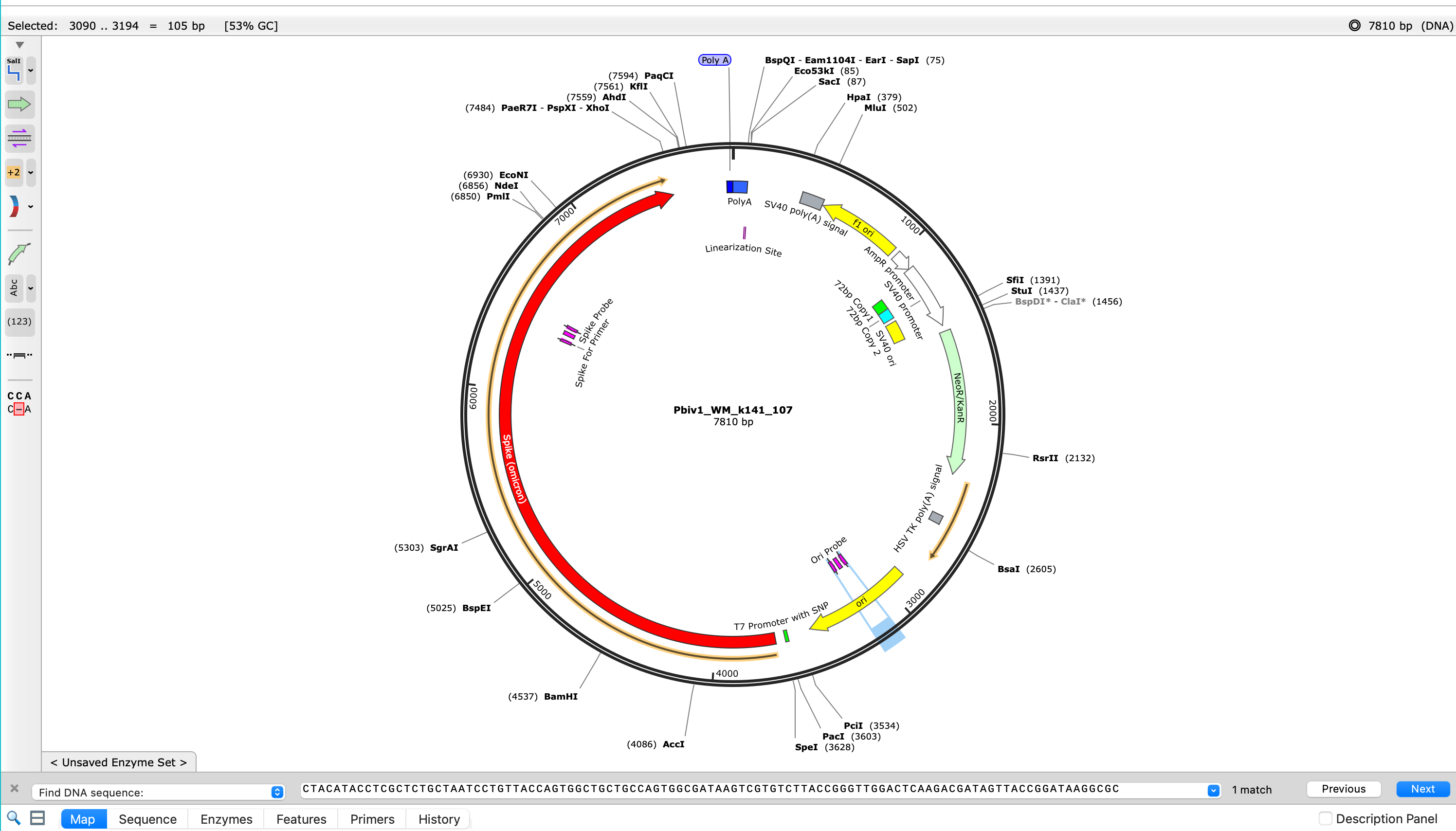 Independent Sanger Sequencing verification of plasmid amplicons in BNT162b2