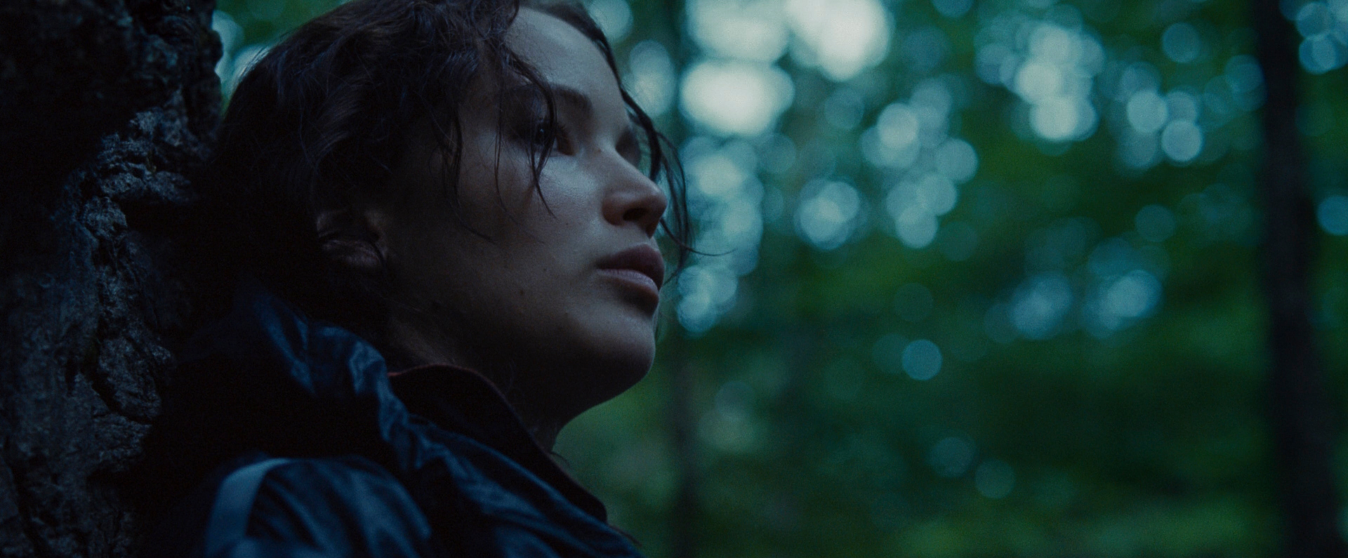 The Hunger Games Structure Breakdown - by Bruce Hutchinson