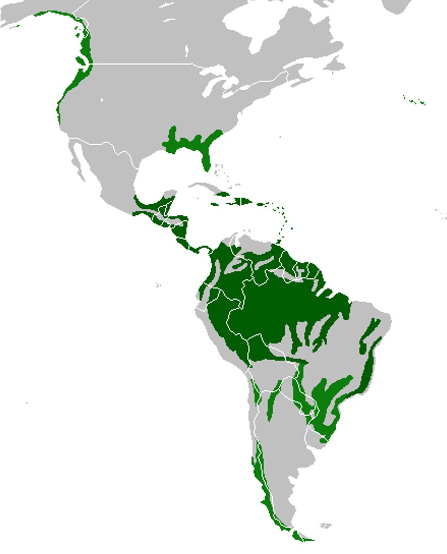 Why Is Chile So Long? - by Tomas Pueyo