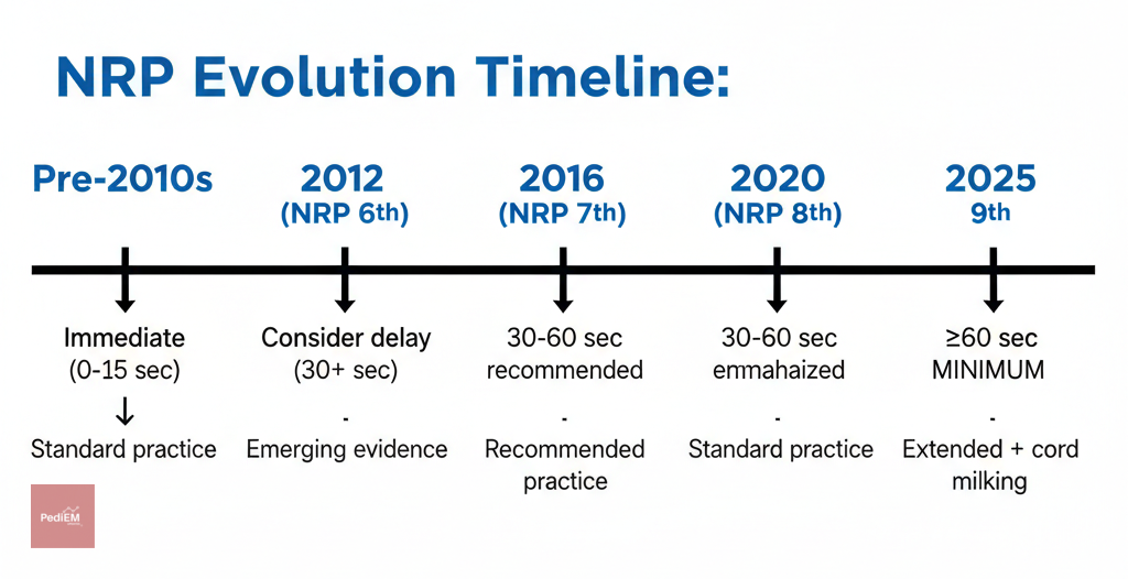 2025 PALS/NRP Guidelines: What Changed & Why It Matters