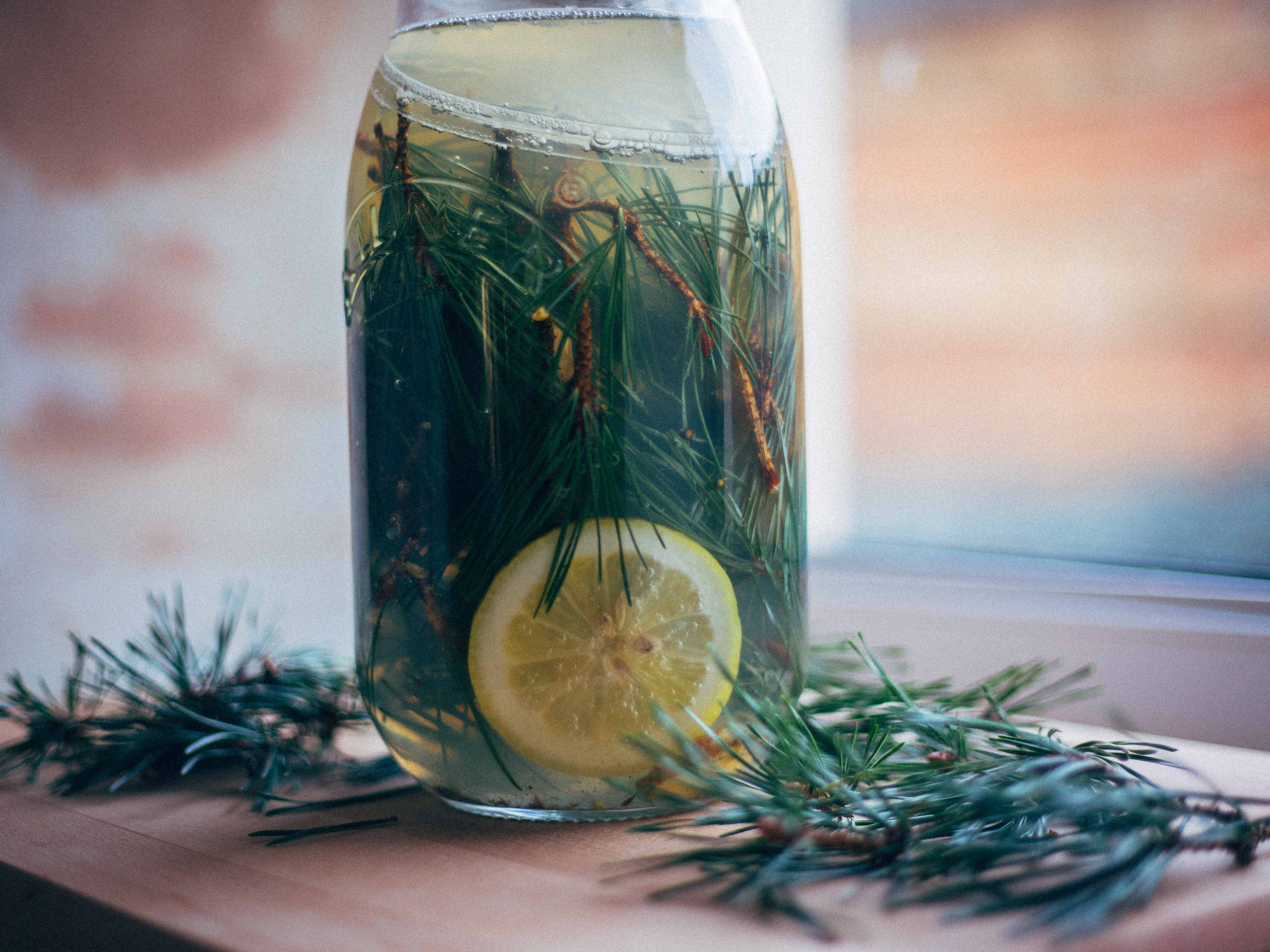 Wild Fermented Soda | MASTERCLASS - by Sam Cooper