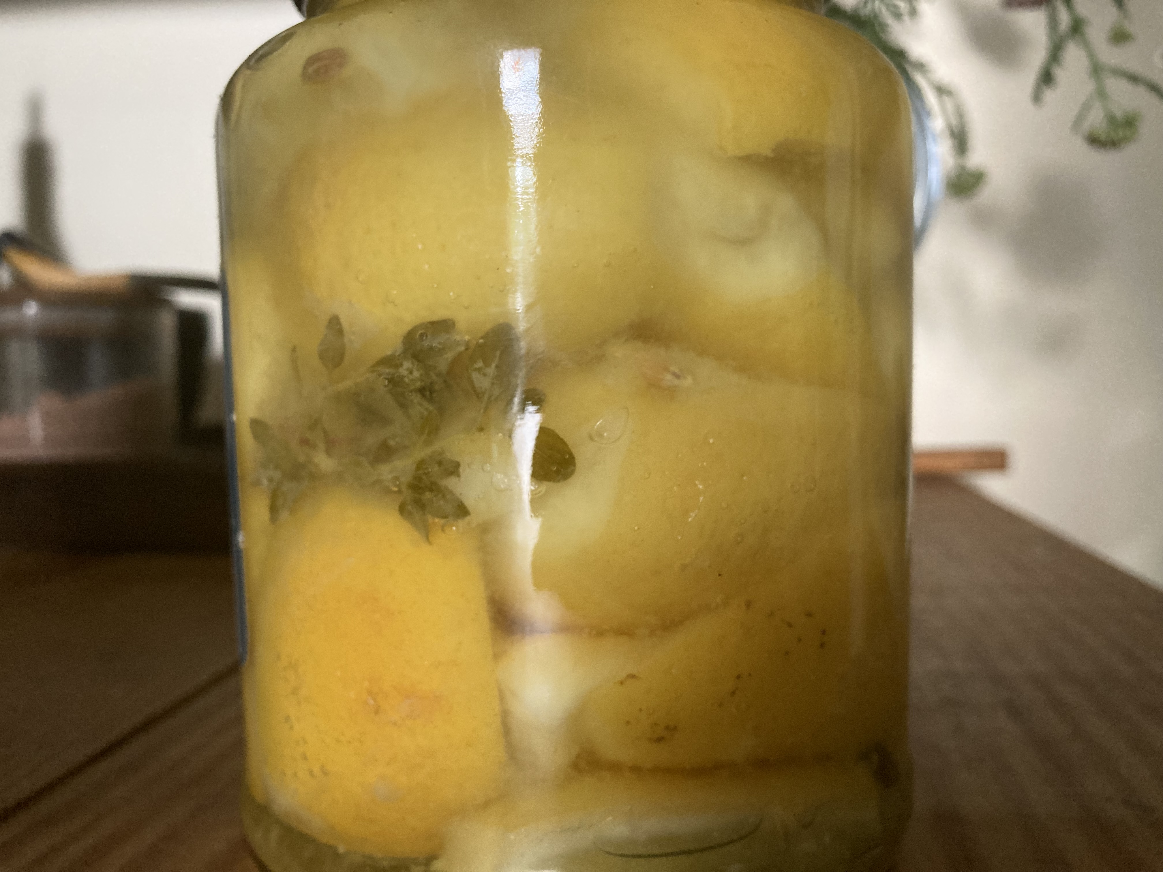 a pantry of endless preserved lemons - by Sarah Cole