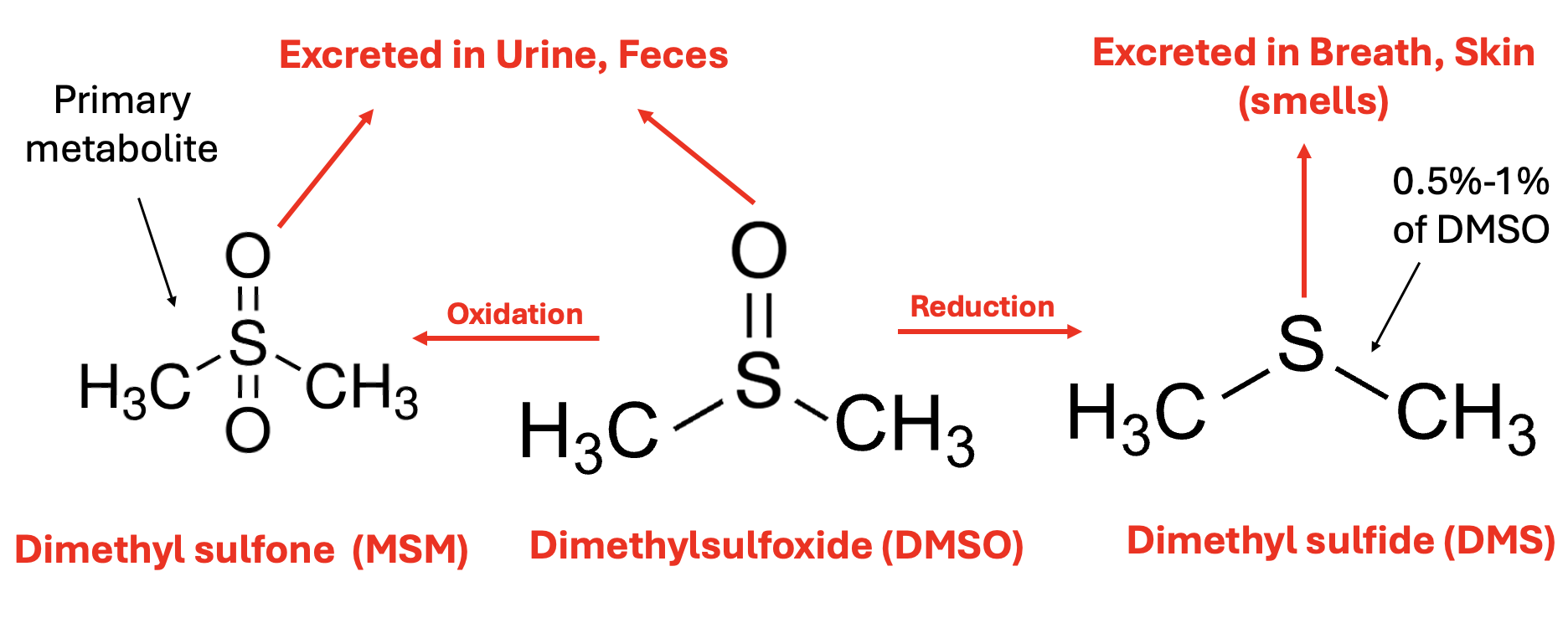 DMSO Could Save Millions From Brain and Spinal Injury