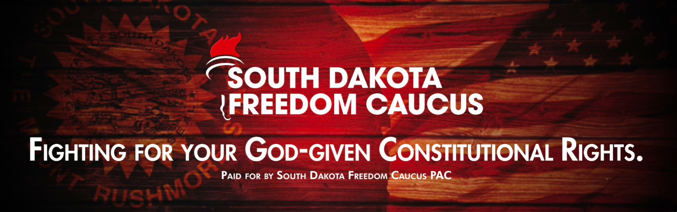 Hundreds of South Dakotans are running for Legislature. Here's the list