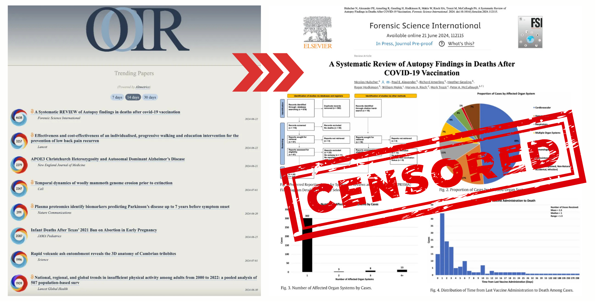 BREAKING: DOJ Launches Investigation Into Top Medical Journals Over ...