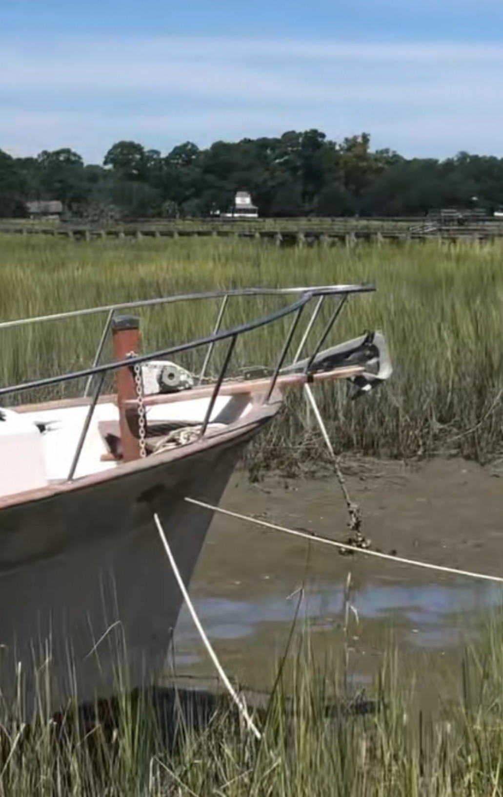 What Exactly is Pluff Mud? - by Kieran Wray Kramer