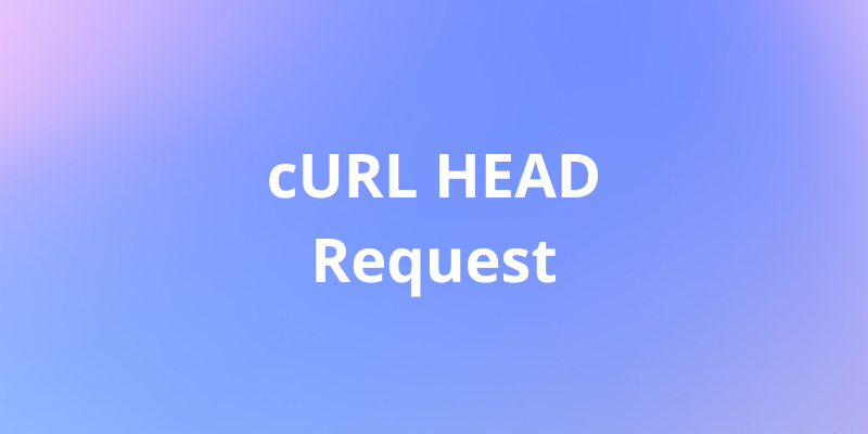 Understanding HTTP HEAD Requests: Technical Guide and Use Cases