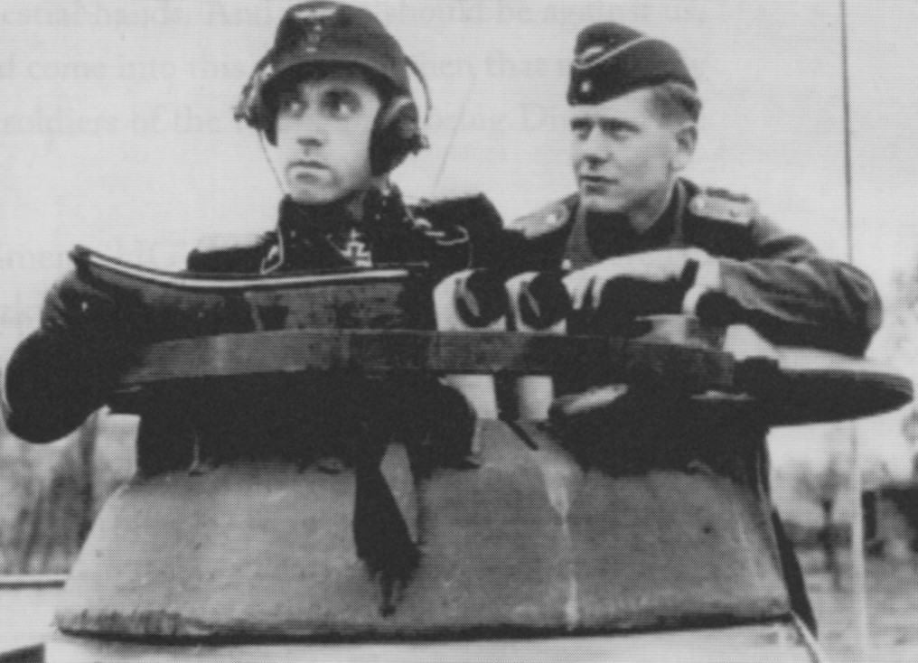 Panzer Divison 'Hermann Goring' - by Martin Cherrett