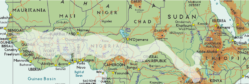 In the Shea Belt: How Ghana and Burkina Faso Became the Heart of a ...