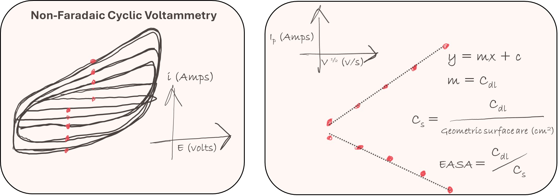 Calculating the Electroactive Surface Area