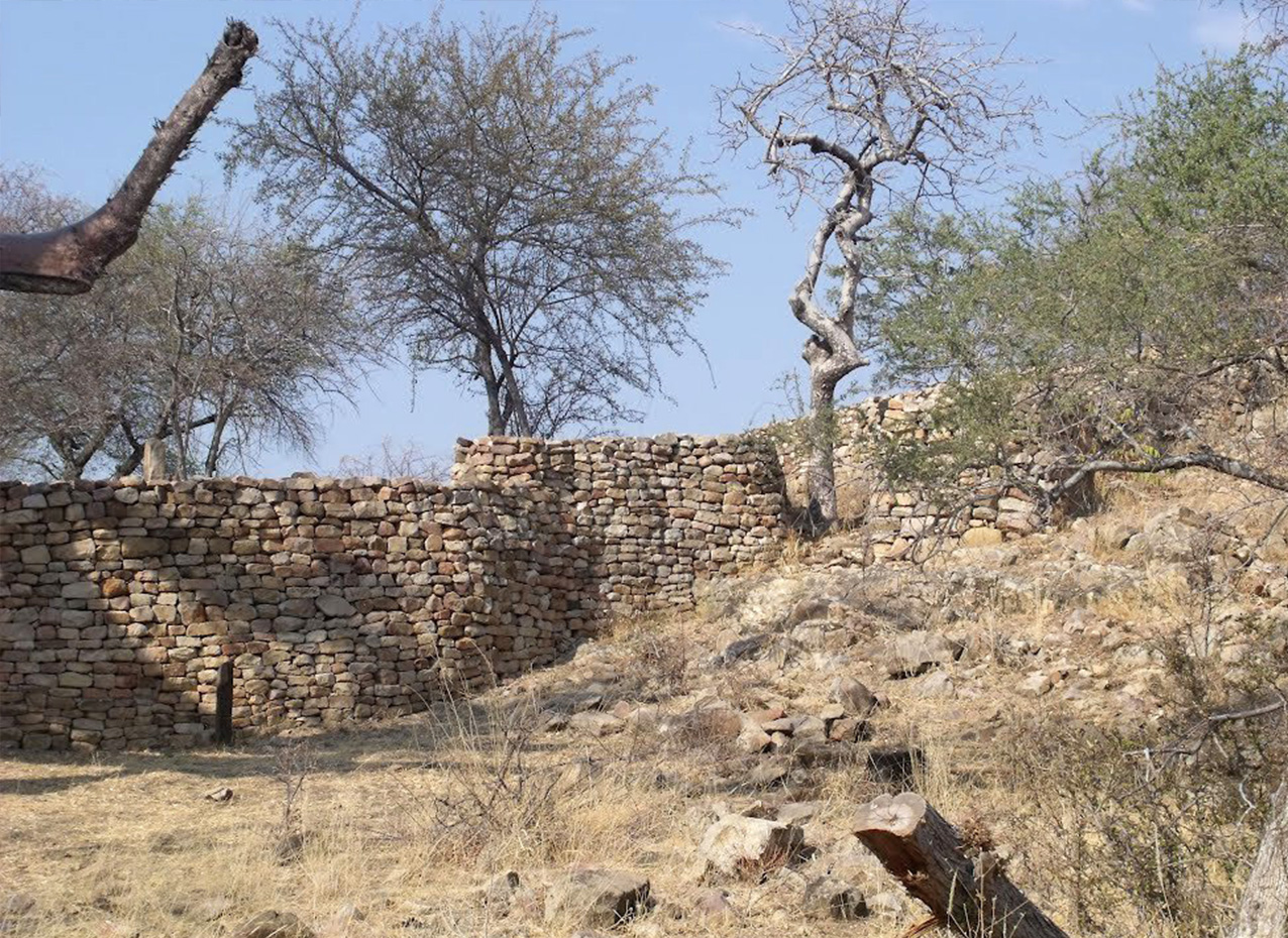 The stone ruins of South Africa: a history of Mapungubwe, Thulamela and ...