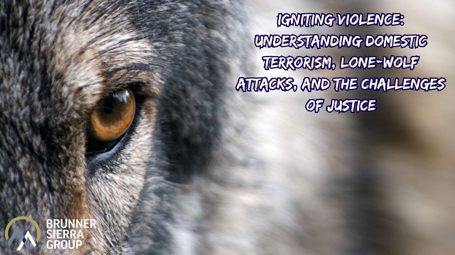 Igniting Violence: Understanding Domestic Terrorism, Lone-Wolf Attacks ...