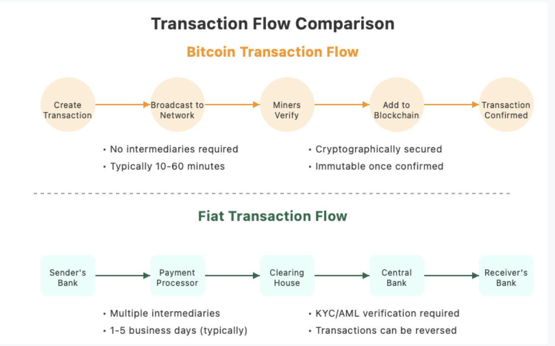 Bitcoin vs Fiat: 7 Critical Differences Between Traditional and Digital ...