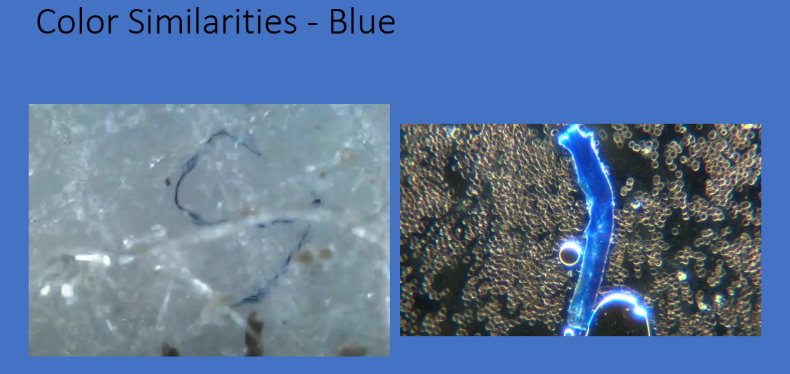 Comparison Images of Live Blood Analysis and Nanotechnology Coming Out ...