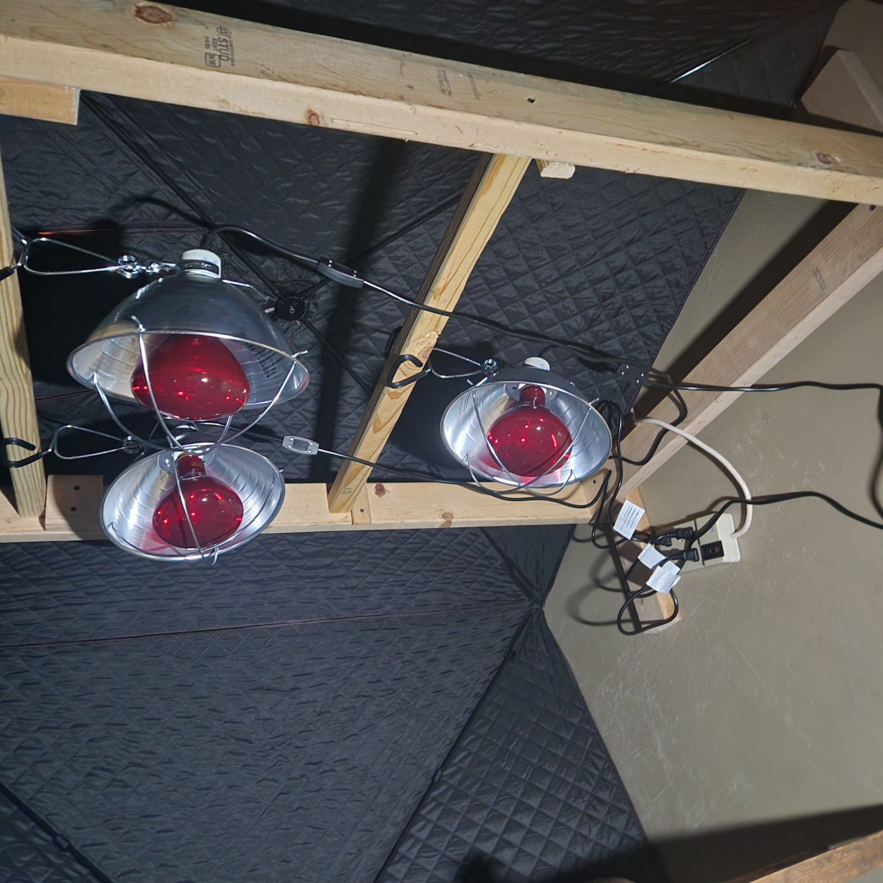 My DIY Near Infrared Sauna - The Truth Expedition