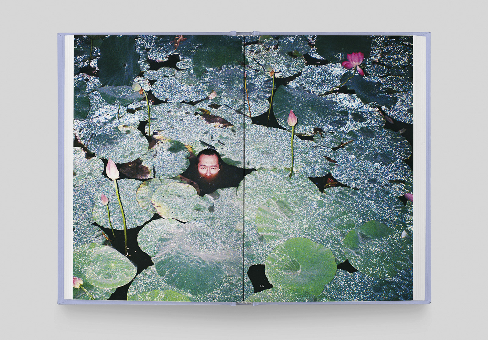 The Enchanted Realm of Water Lilies and Lotuses
