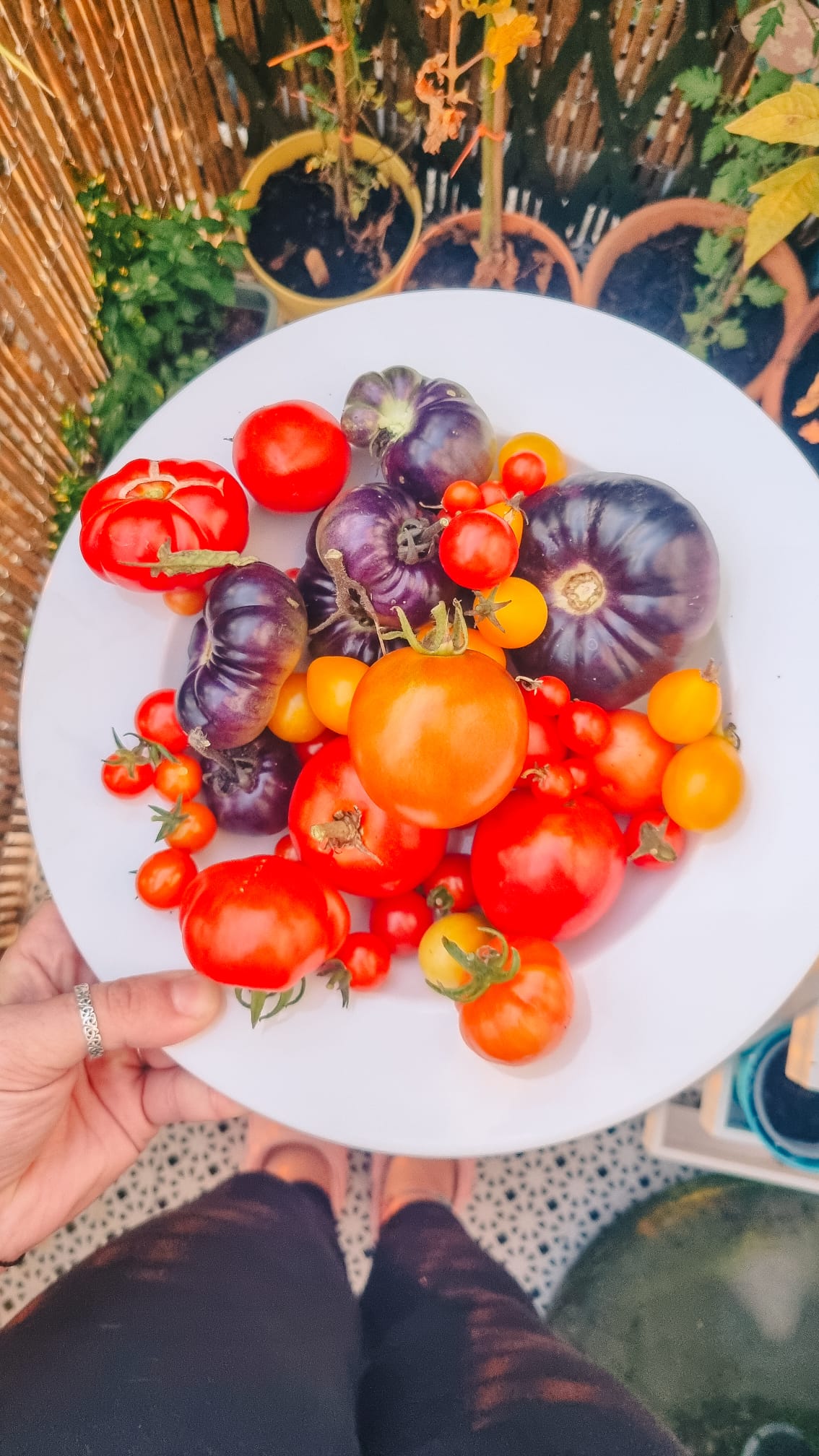 Seasonal Eating Made Simple: How We Cook and Eat with the Seasons at Home