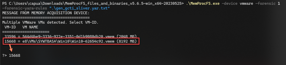 VMware Memory Analysis with MemProcFS - by Eric Capuano
