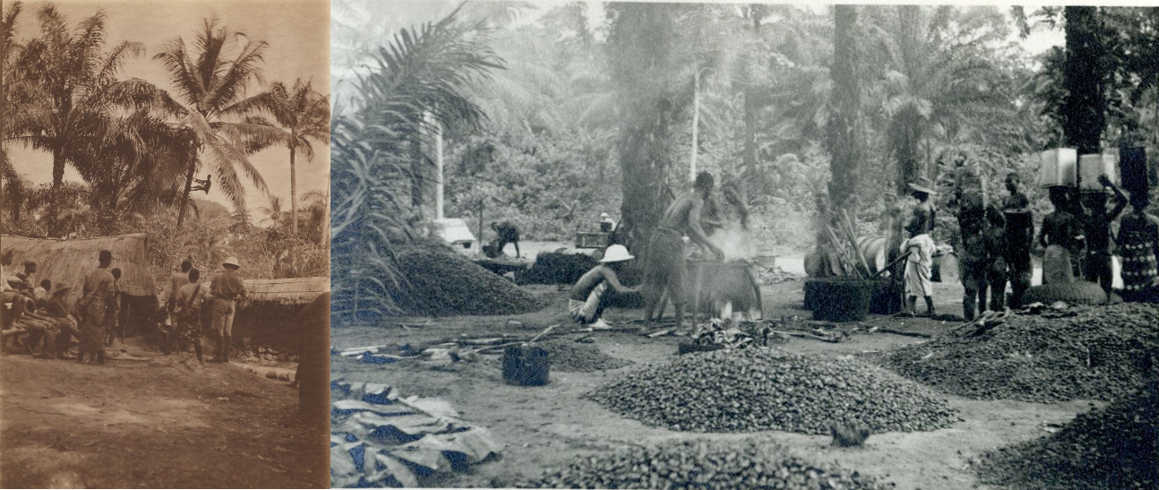 The invention of Agriculture in Africa: plant domestication and the ...