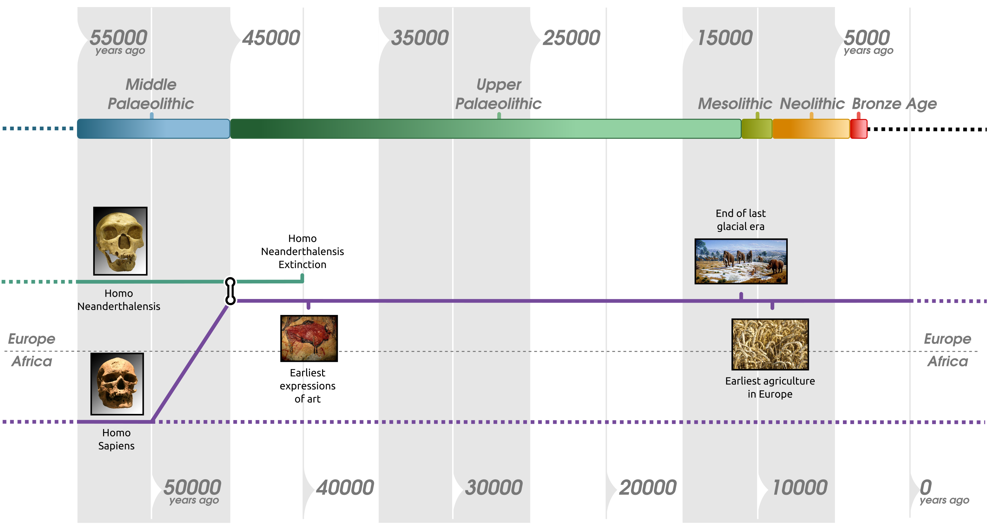 The Evolution of Human Diet Since the Origin of Genus Homo