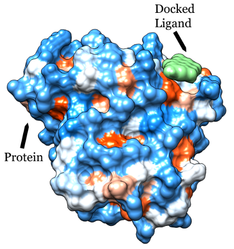 Molecular Docking in Drug Discovery: Strengths, Shortcomings, and the ...