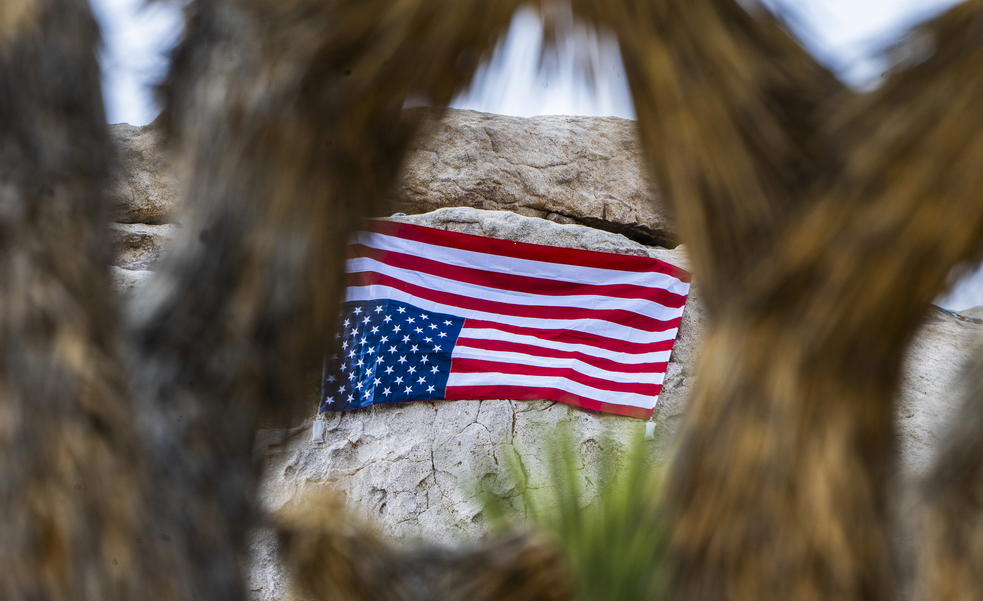 Join Resistance Rangers In Protest At All National Parks March 1