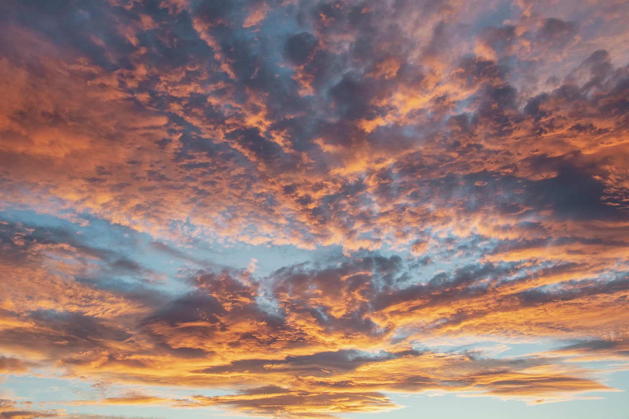 The sky has something to tell you - by Dina Ely