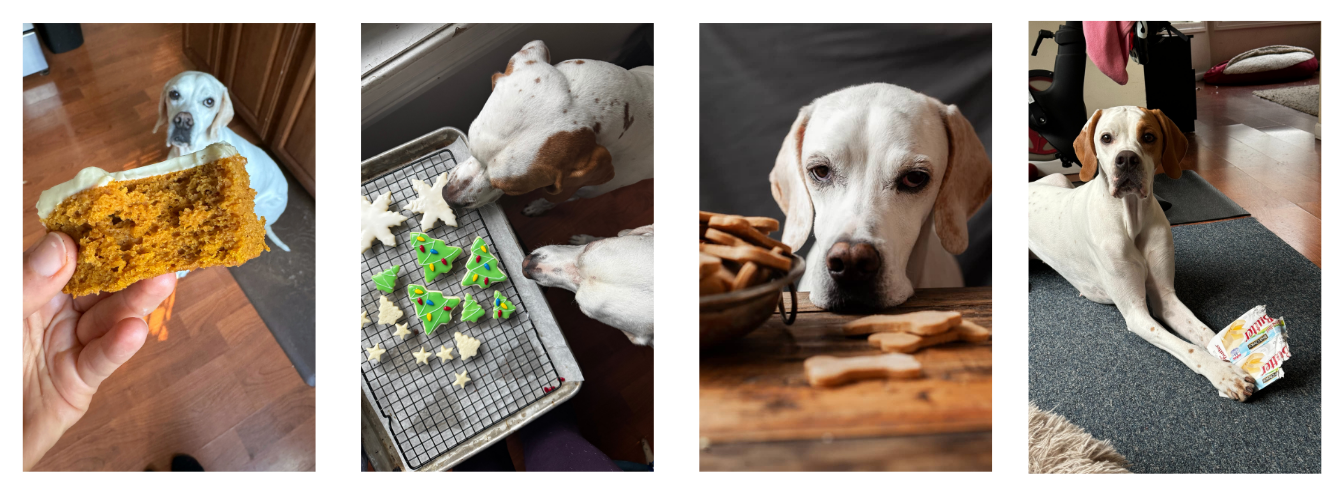 Best Gluten Free Recipes 2024 - by Daniela Weiner