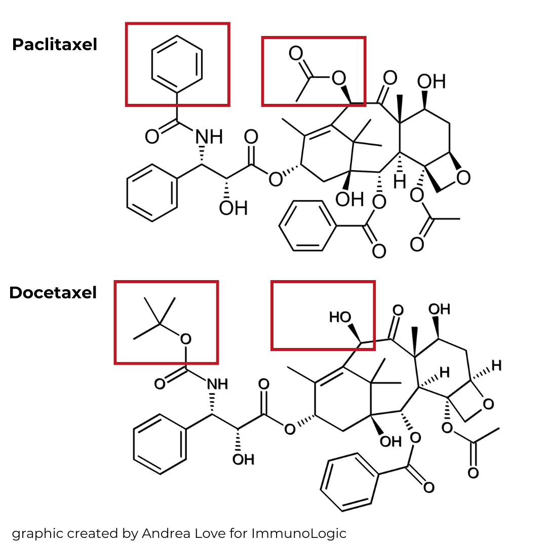 No one is hiding cures for cancer: many cancer drugs start with natural ...