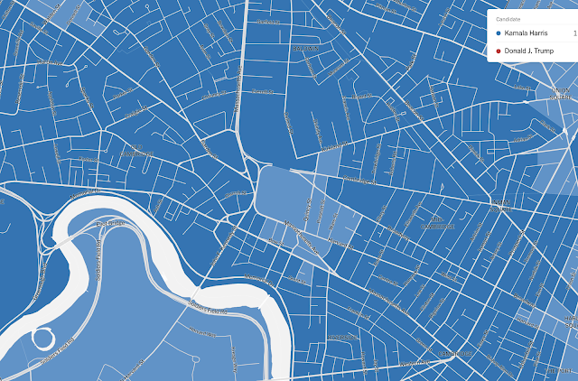An extremely detailed map of the 2024 election