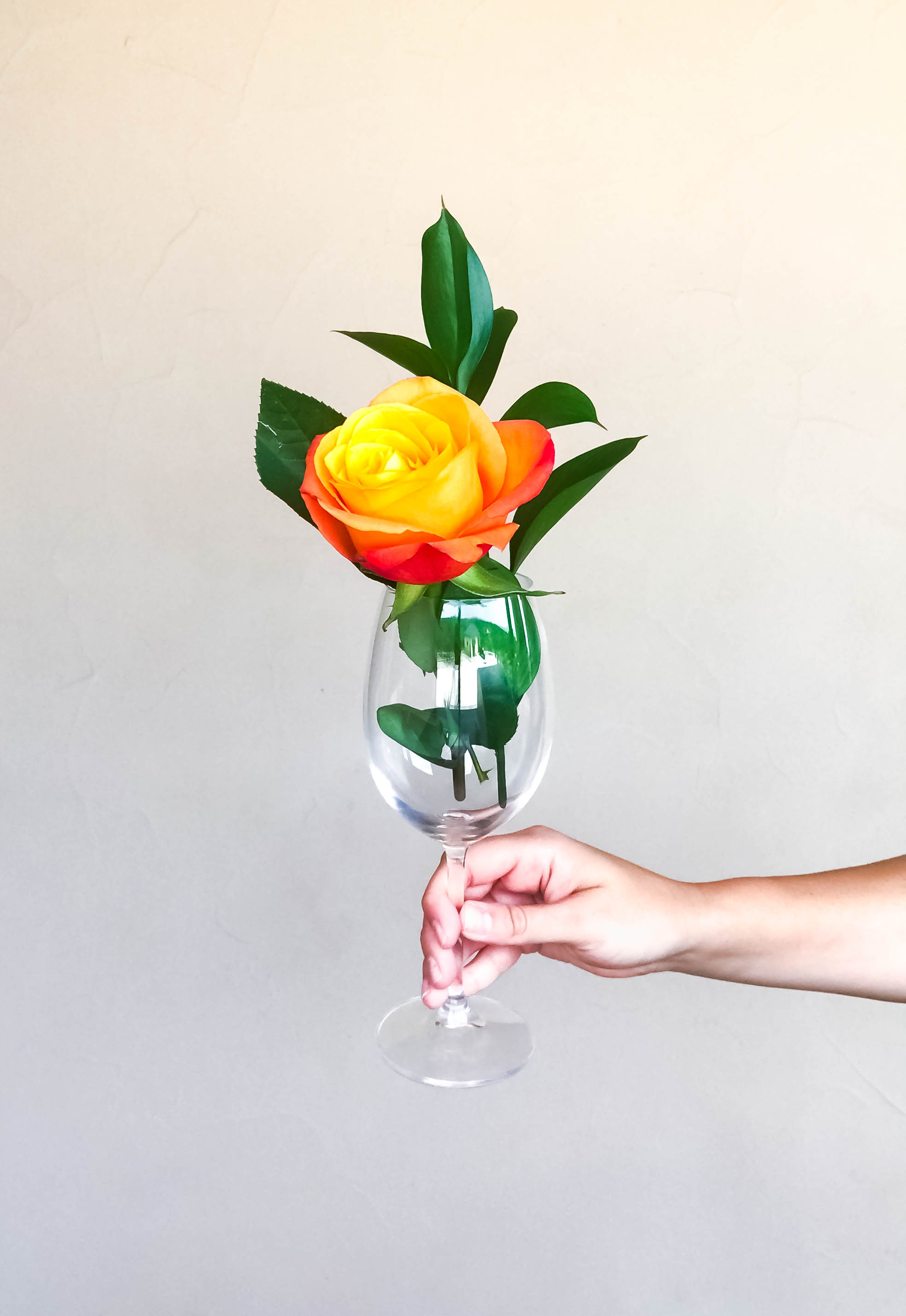 Aromas in Wine: 25 of the Most Common Wine Aromas Explained