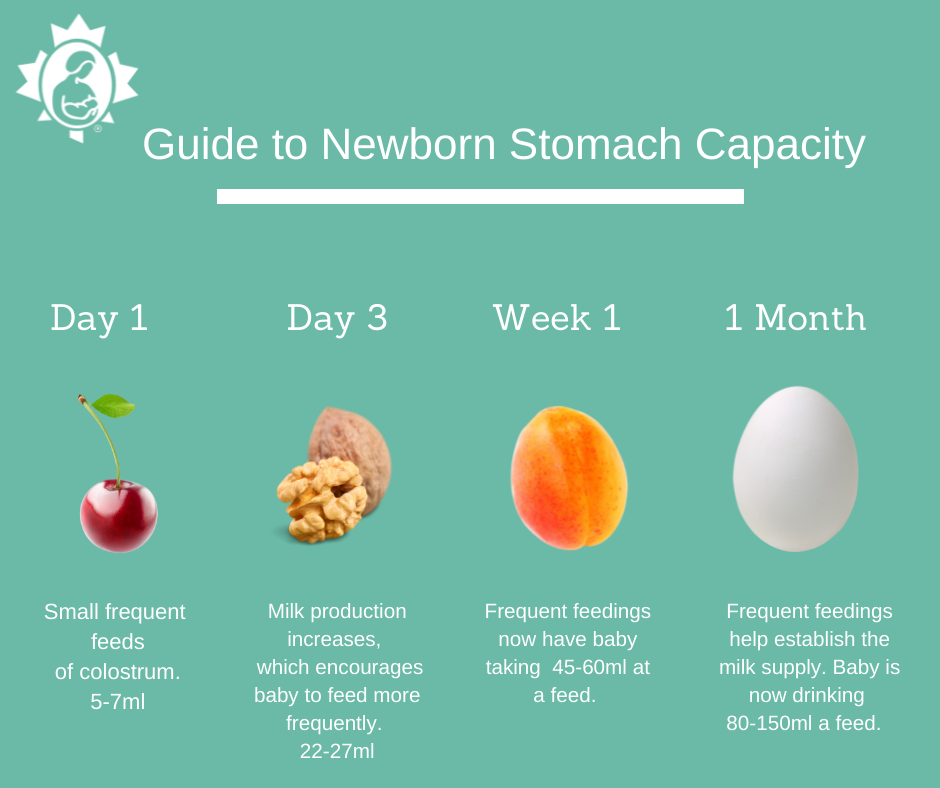 Understanding Your Newborn’s Stomach Size