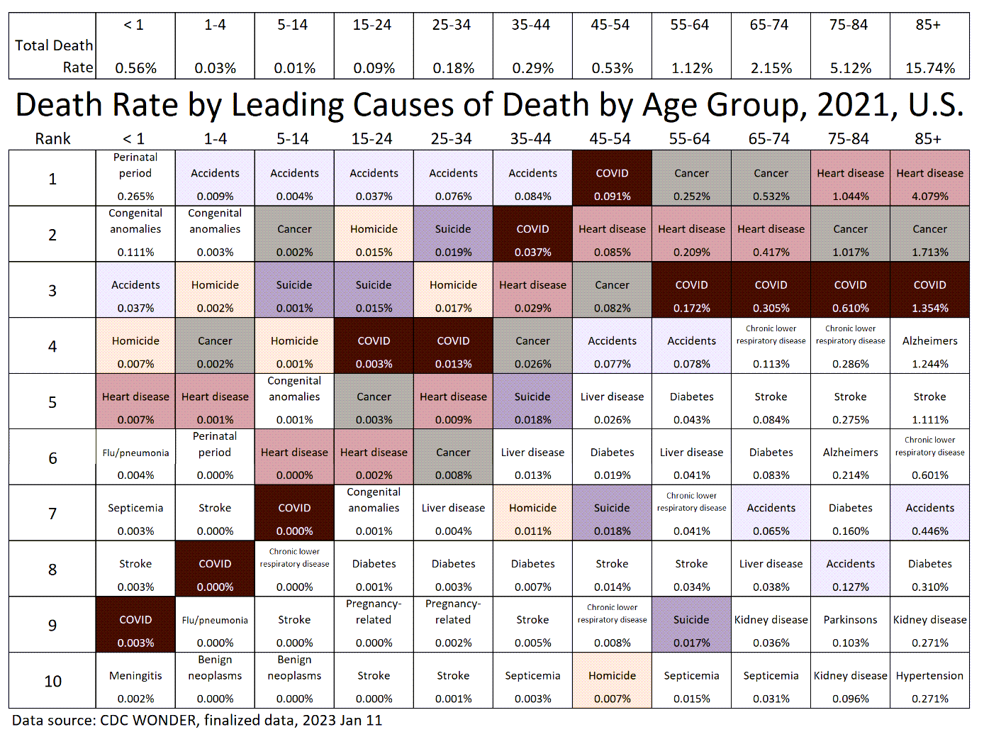 Top Causes of Death by Age Group, 2021: Finalized U.S. Stats