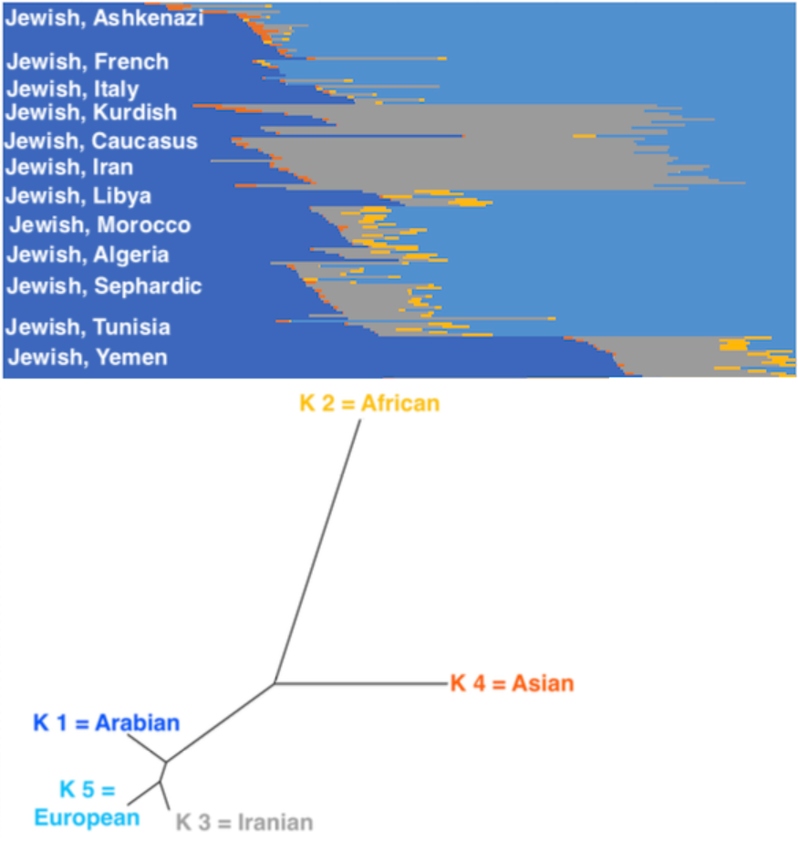 More than kin, less than kind: Jews and Palestinians as Canaanite cousins