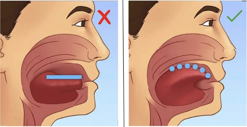 Mastering Proper Tongue Posture: A Guide for Improved Breathing and Posture