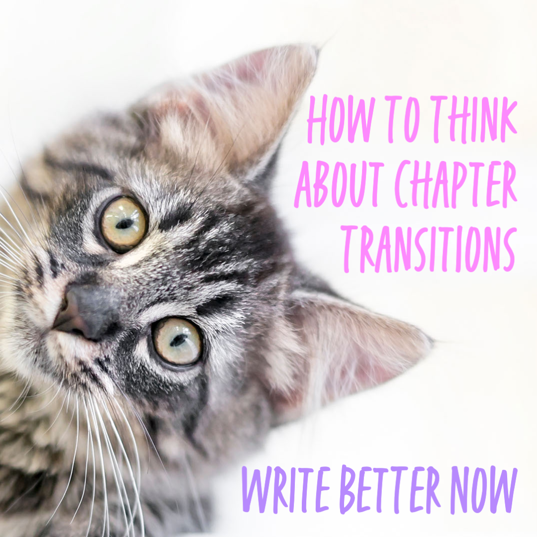 How To Think About Chapter Transitions? - by Carrie Jones
