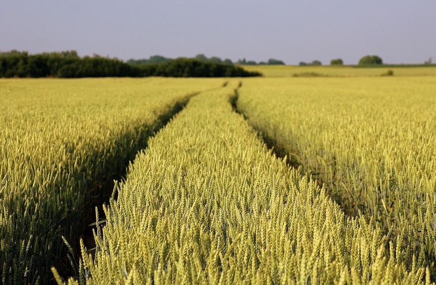 The Year 1900: Fun Facts, Trivia, and Historical Events