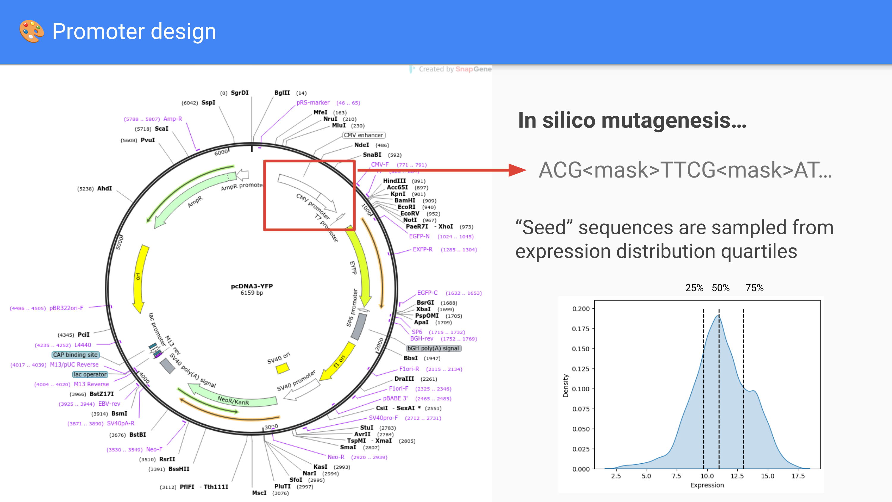 Bio x ML hackathon: our 3rd-place winning project