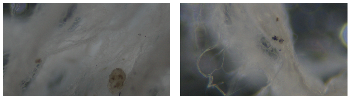 Spider Silk Polymer Sprayed Via Geoengineering Operations From ...