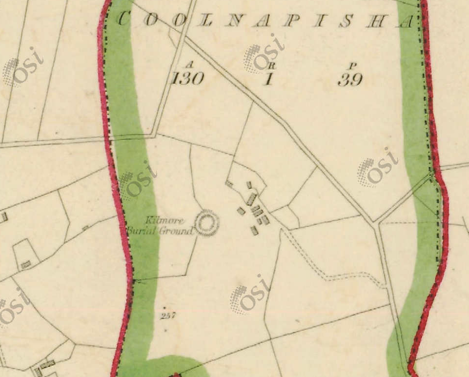 Building a bigger picture: hunt for the Ryans of Coolnapisha Part 2