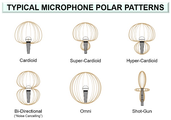 Understanding Microphone Directional Types: A Guide To Polar Patterns
