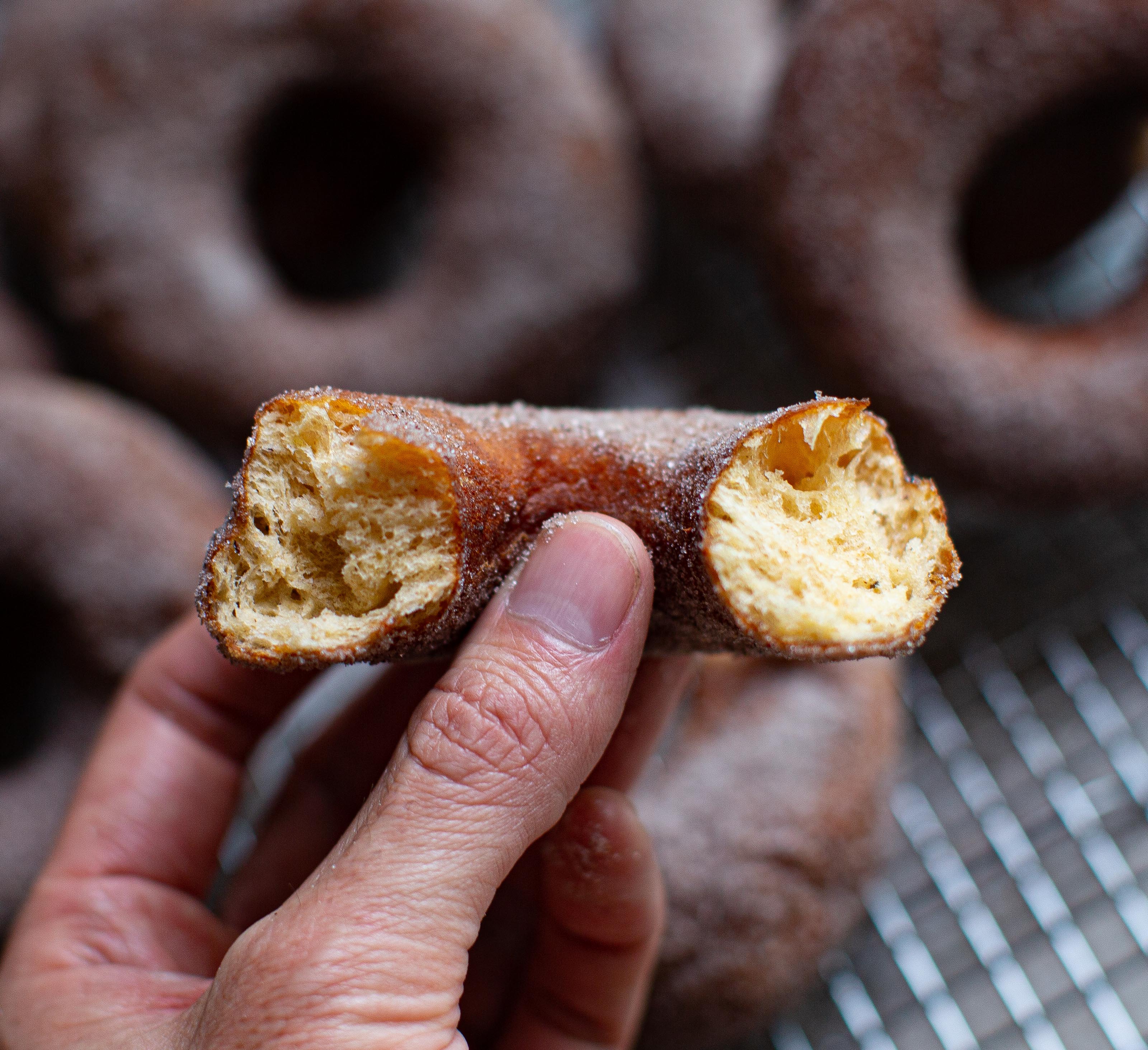 Spiced Doughnuts - by Martin Philip - The Sassafras Curio